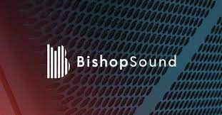 BishopSound 12" Speaker 300w RMS Full Range Pressed Steel LF Driver ...